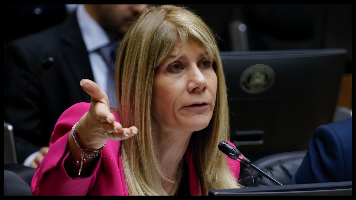 Gobierno se retracta: subsidio eléctrico sigue vigente tras ...